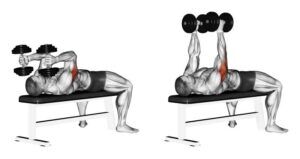 Close Grip Bench Press Muscles Worked, How To, Benefits & Alternatives