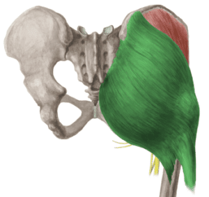 V Squat Guide: How To, Muscles Worked, Alternatives & More